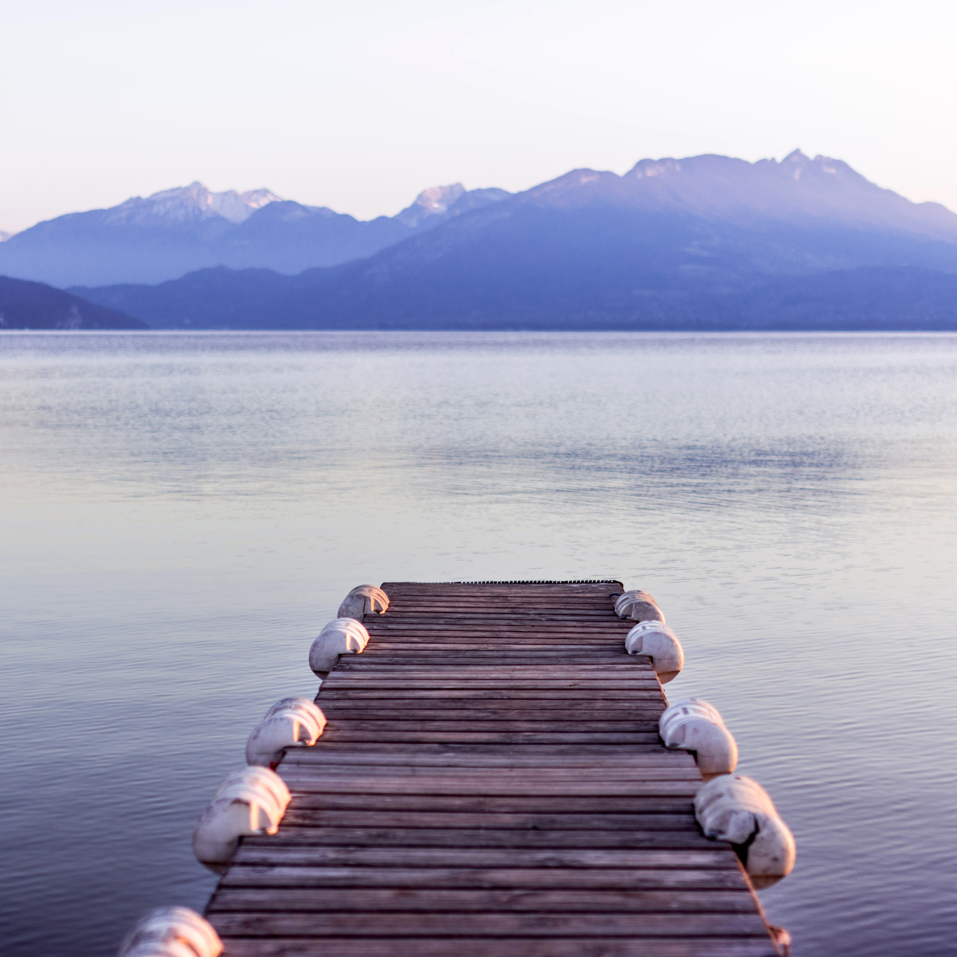 Calm - The #1 App for Meditation and Sleep