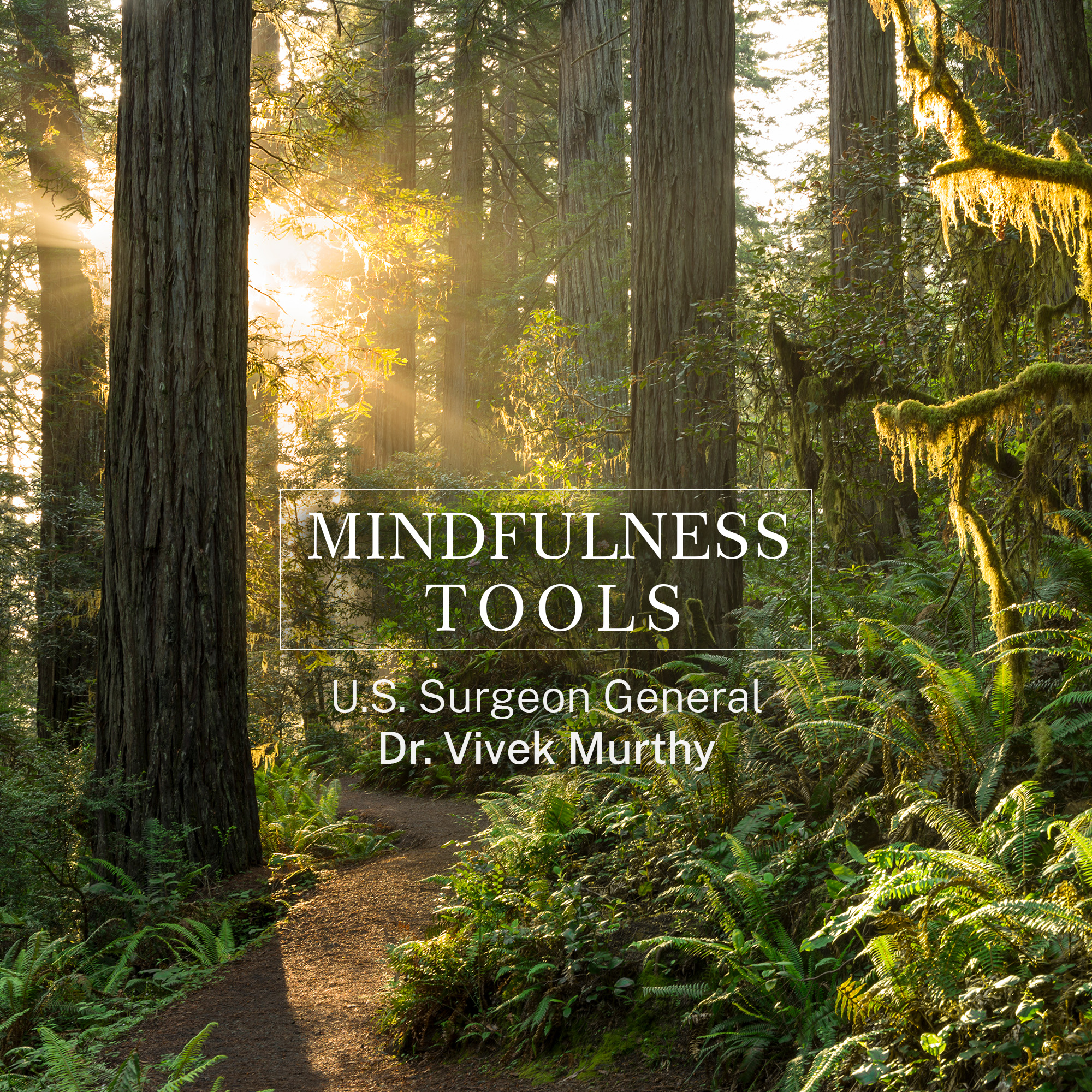 Calm - The #1 App for Meditation and Sleep