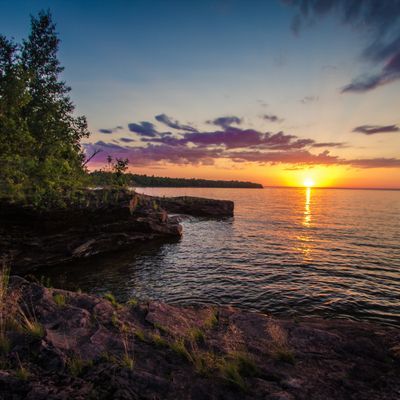 Calm - The #1 App for Meditation and Sleep