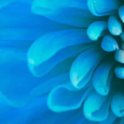 Calm - The #1 App for Meditation and Sleep