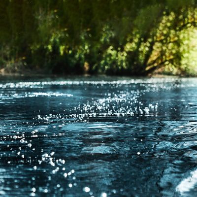 Calm - The #1 App for Meditation and Sleep