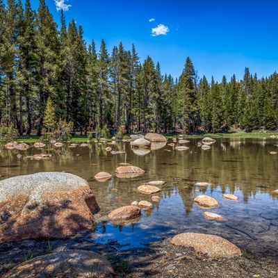 Calm - The #1 App for Meditation and Sleep