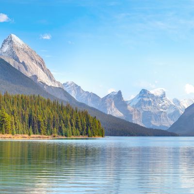 Calm - The #1 App for Meditation and Sleep