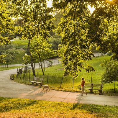 Calm - The #1 App for Meditation and Sleep