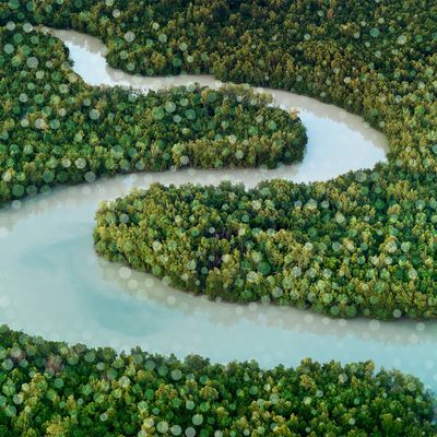 Calm - The #1 App for Meditation and Sleep