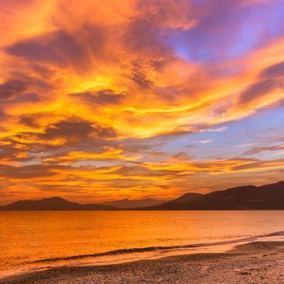 Calm - The #1 App for Meditation and Sleep