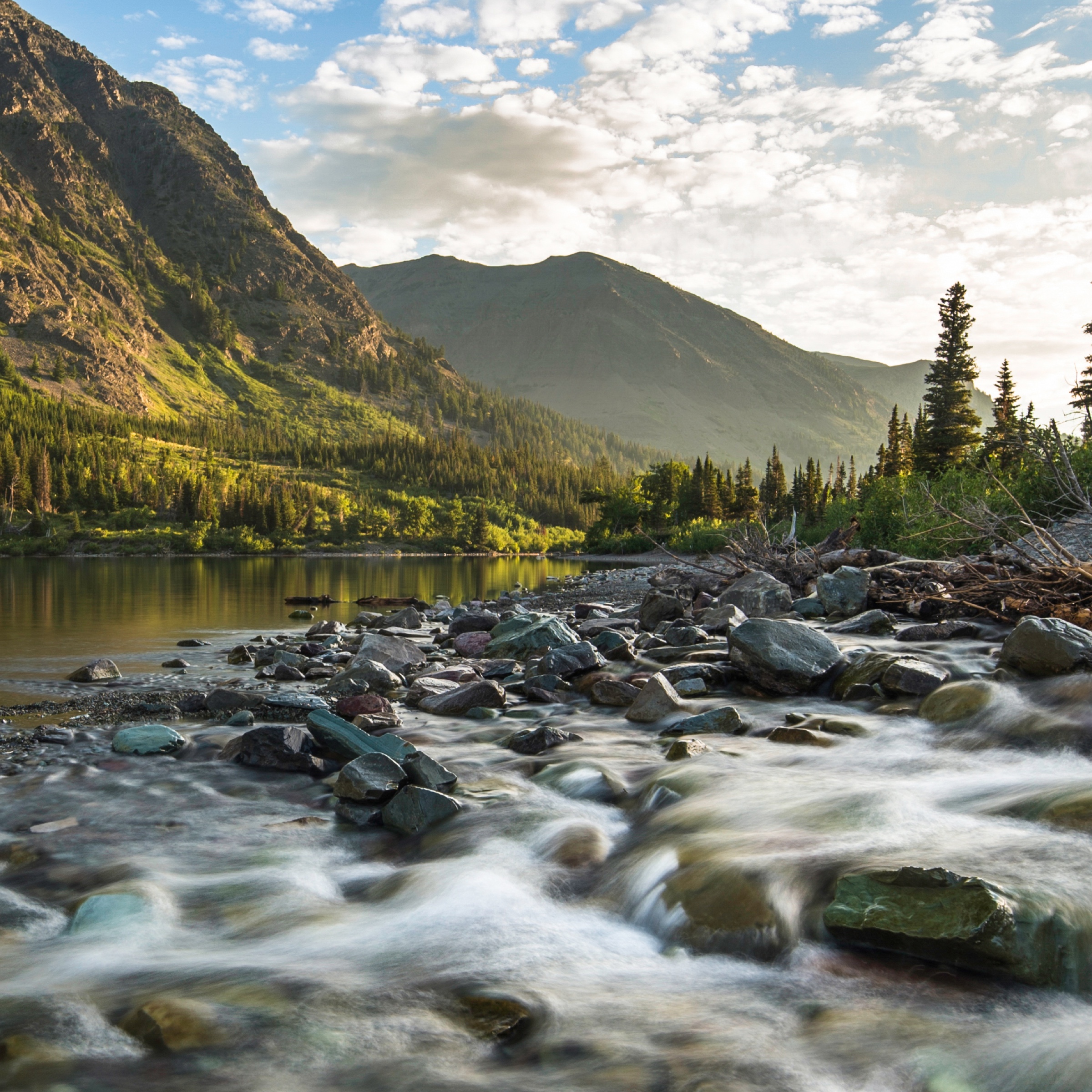 Calm - The #1 App for Meditation and Sleep