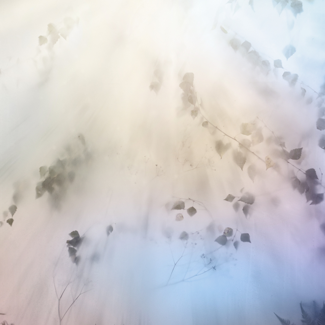 Calm - The #1 App for Meditation and Sleep