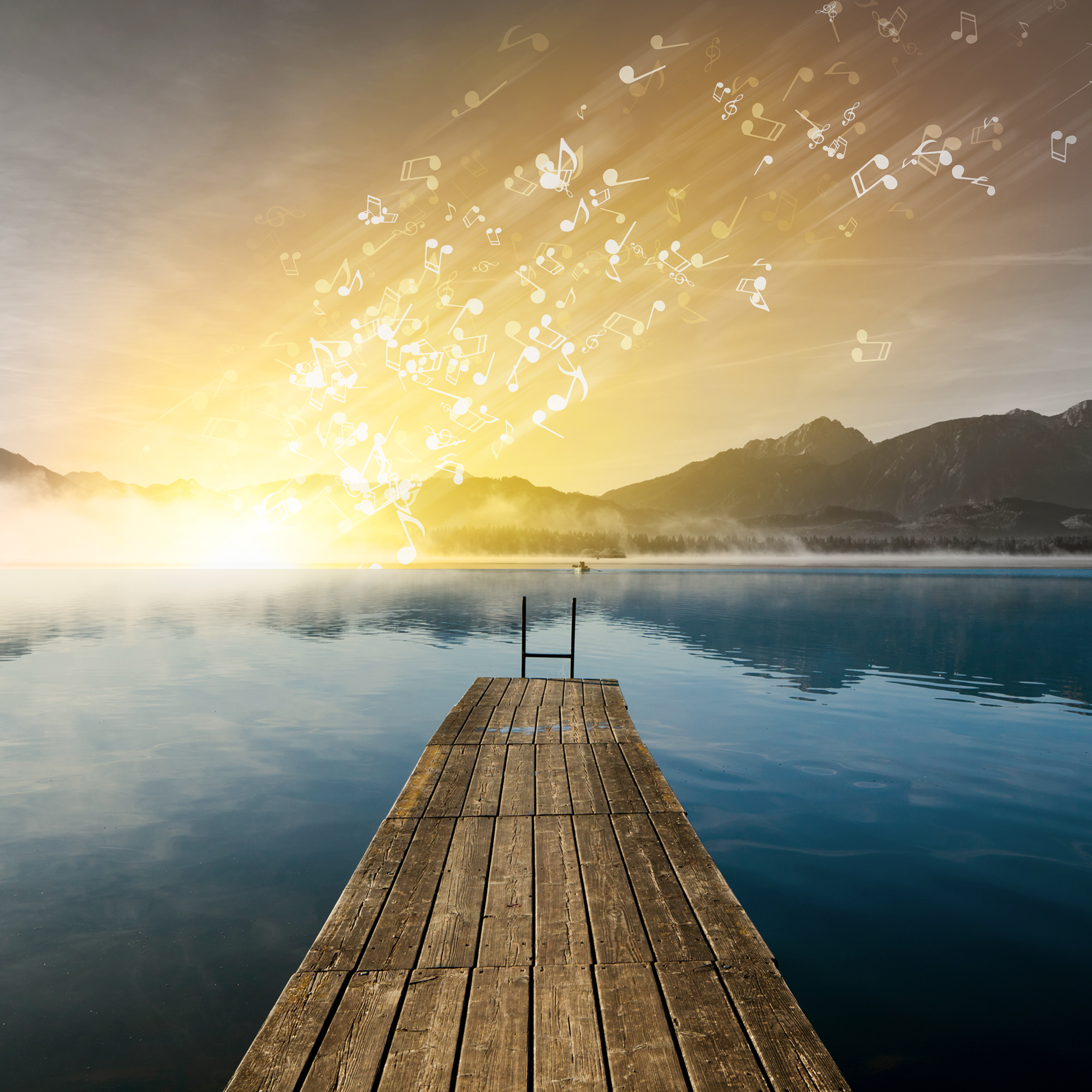 Calm - The #1 App for Meditation and Sleep