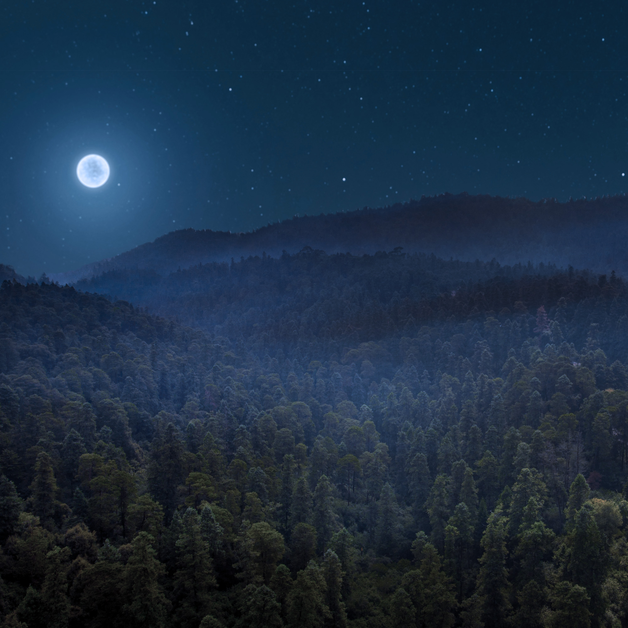 Calm - The #1 App for Meditation and Sleep