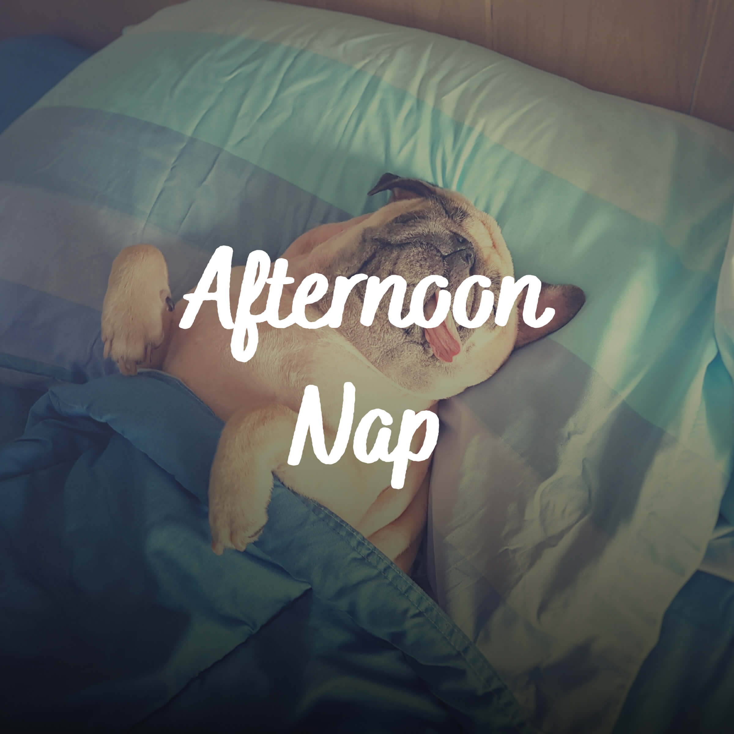 Calm - The #1 App for Meditation and Sleep