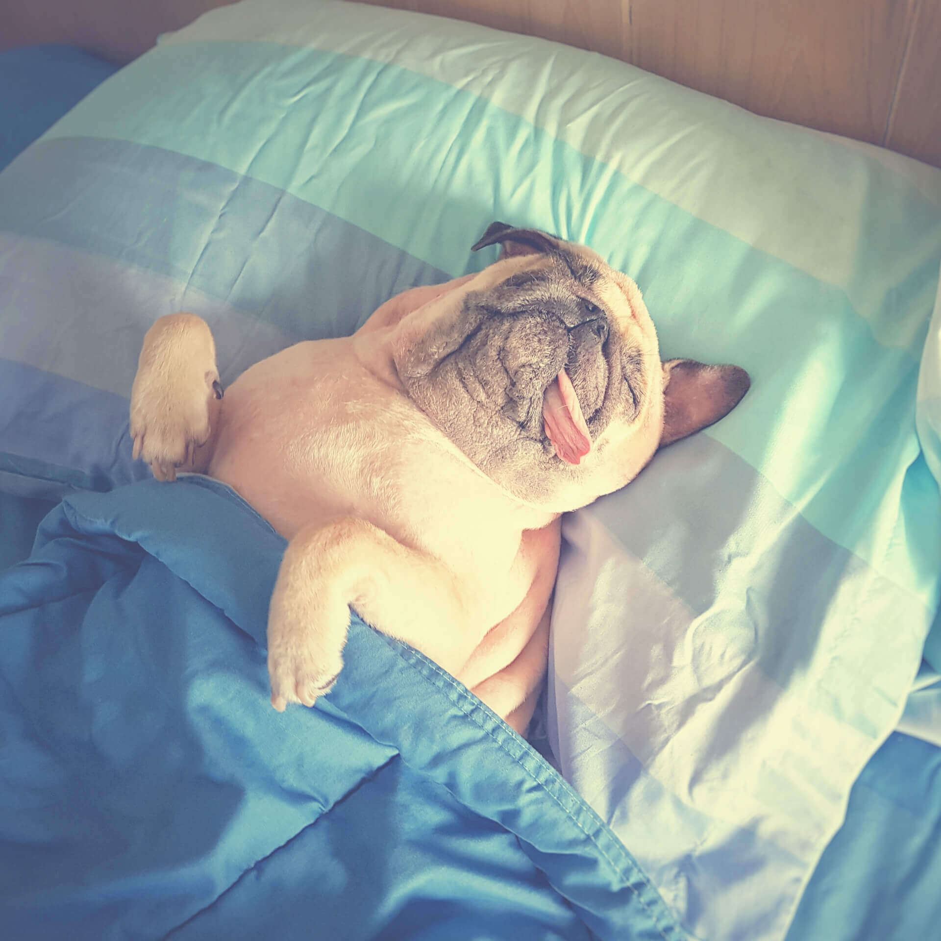 Calm - The #1 App for Meditation and Sleep